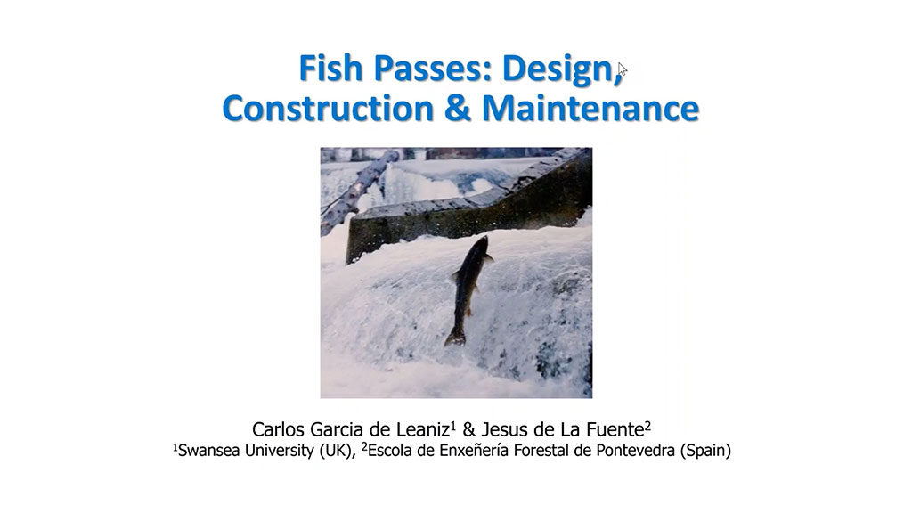 Fish passes: design, construction & maintenance – AMBER